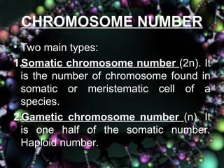 GENETICSLECT11 chromosomes chromatin dna | PPT