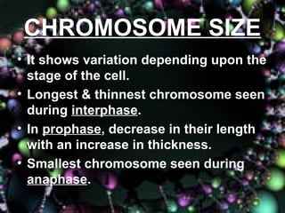 GENETICSLECT11 chromosomes chromatin dna | PPT