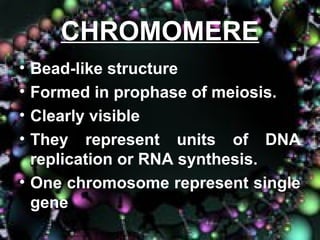 GENETICSLECT11 chromosomes chromatin dna | PPT
