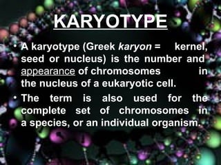 GENETICSLECT11 chromosomes chromatin dna | PPT