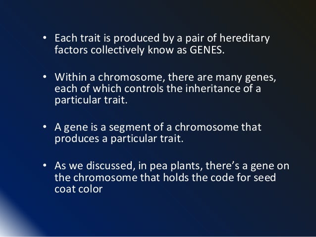 Instructional Presentation on Basic Genetics