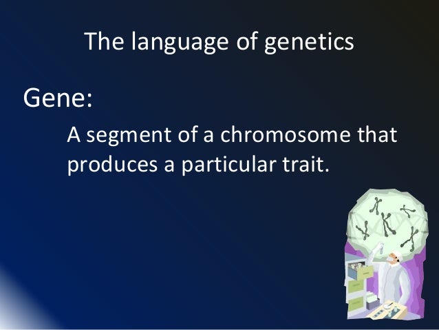 Instructional Presentation on Basic Genetics