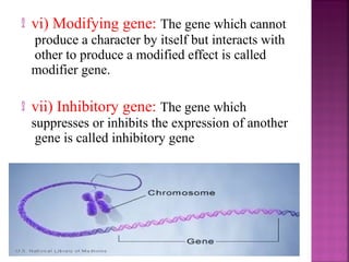 BIOCHEMISTRY: Medical Genetics lecture1.pptx