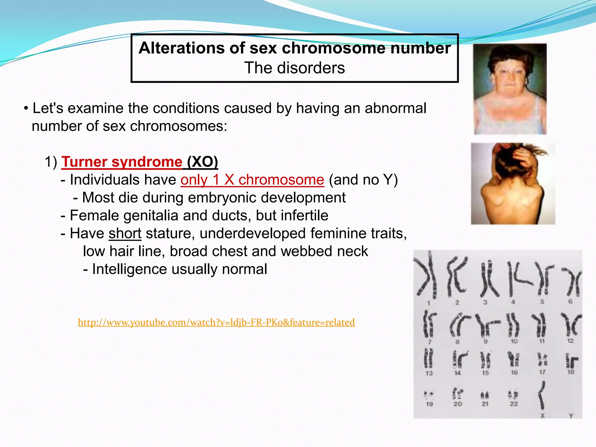 Genetics lecture 2 pw_2012 | PPTX