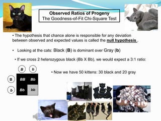 Genetics lecture 2 pw_2012 | PPT