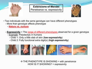 Genetics lecture 2 pw_2012 | PPT