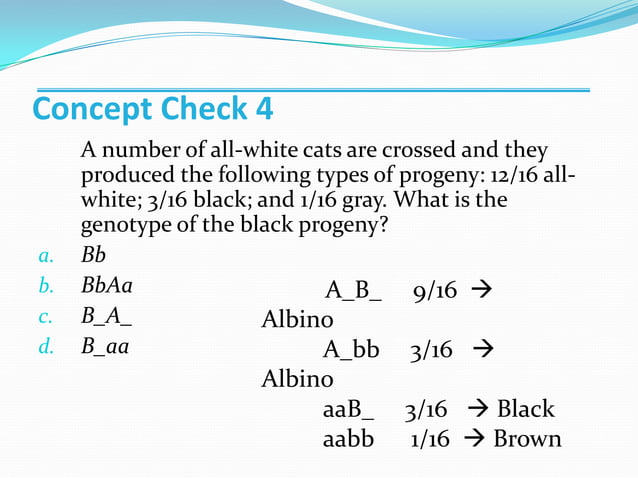 Genetics lecture 2 pw_2012 | PPT