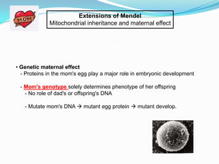 Genetics lecture 2 pw_2012 | PPT