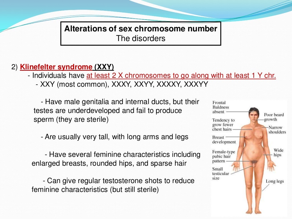 Genetics Lecture 2 Pw 2012