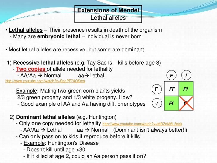 Genetics lecture 2 pw_2012