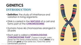 Life Sciences grade 12: GENETICS & MEIOSIS | PPTX