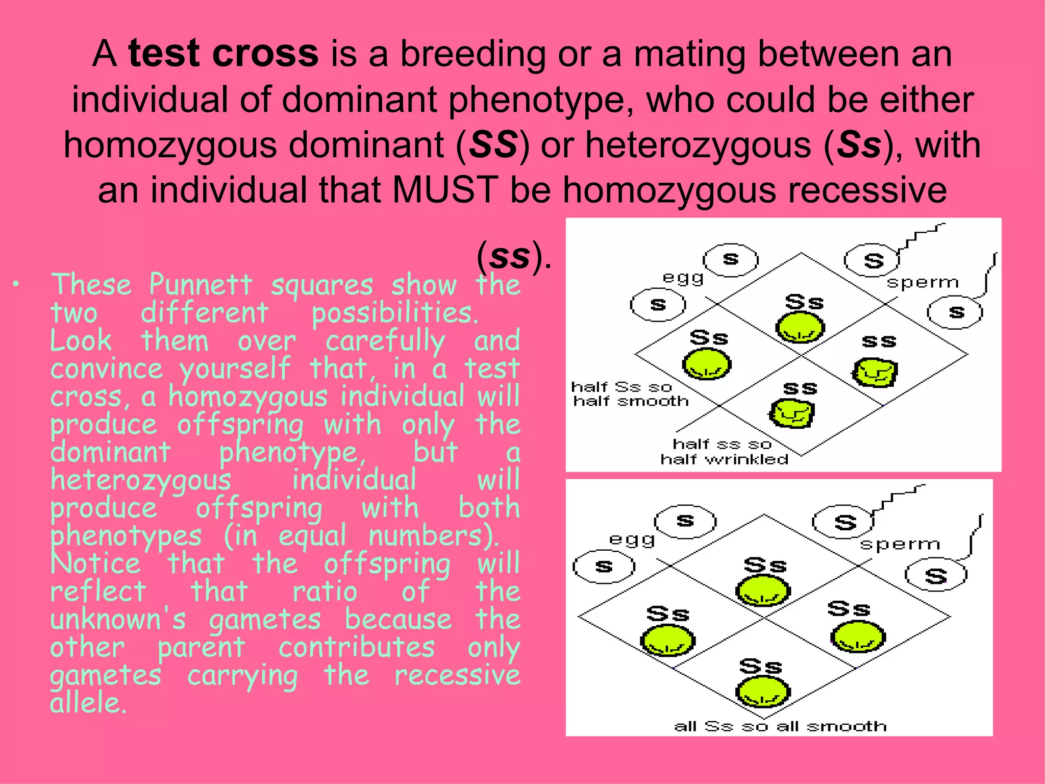 Genetics, mendelian laws | PPT