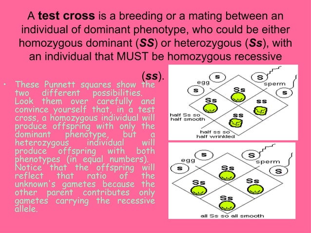 Genetics, mendelian laws | PPT