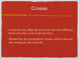 Genetics:mendel powerpoint | PPT