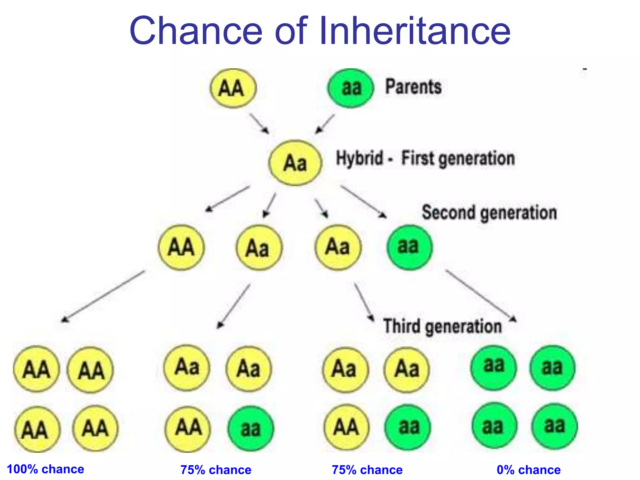 Genetics part 2 | PPT