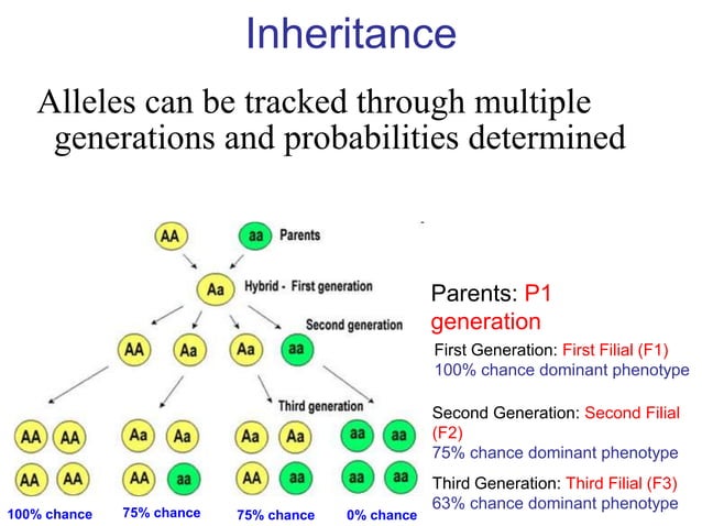 Genetics part 2 | PPT