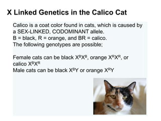 Genetics model 2012 fieldspart 4 | PPT