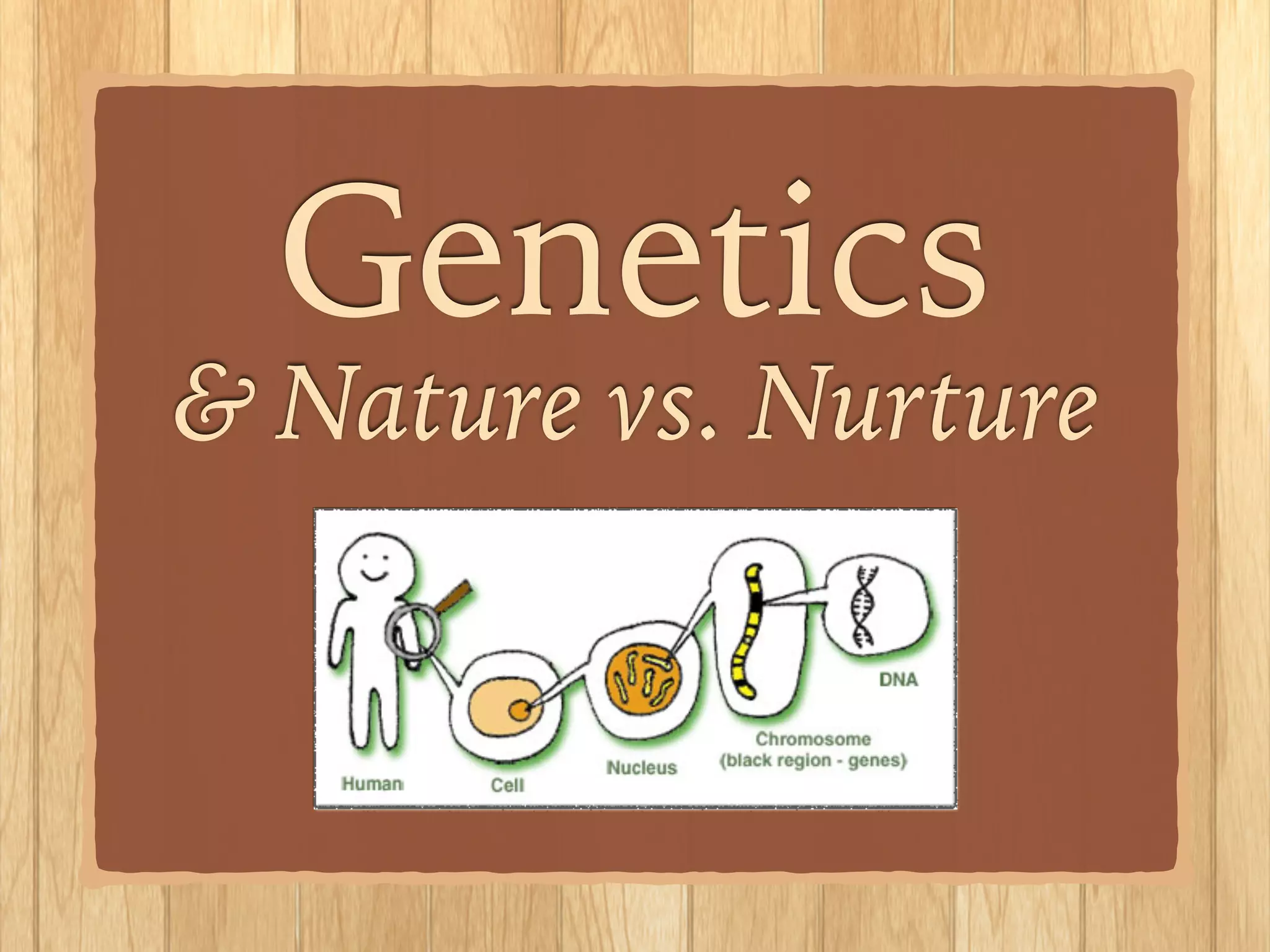 Genetics & Nature vs. Nurture | PDF