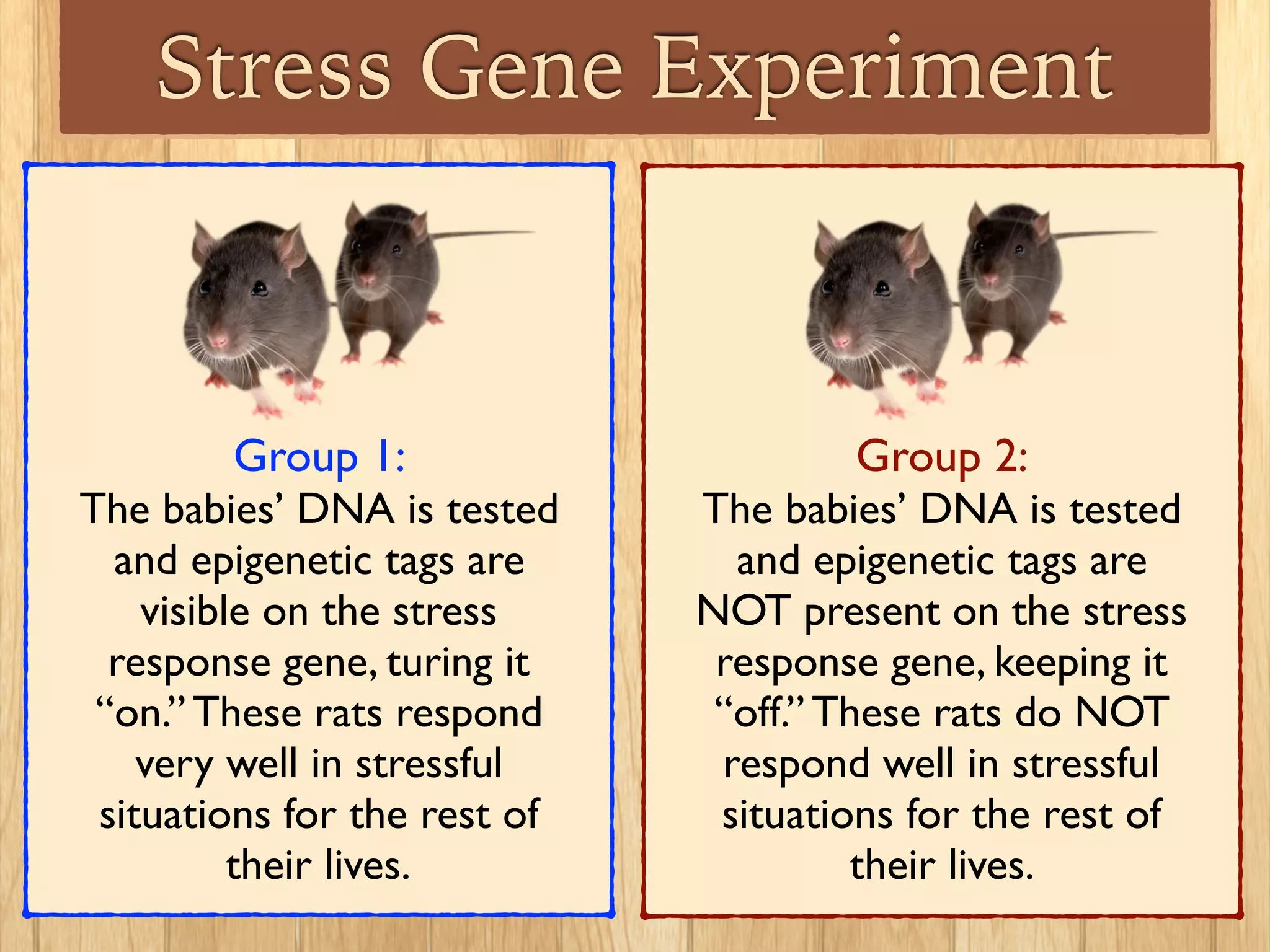 Genetics & Nature vs. Nurture | PDF