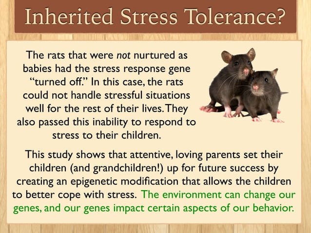 Genetics & Nature vs. Nurture | PDF | Genetics | Science