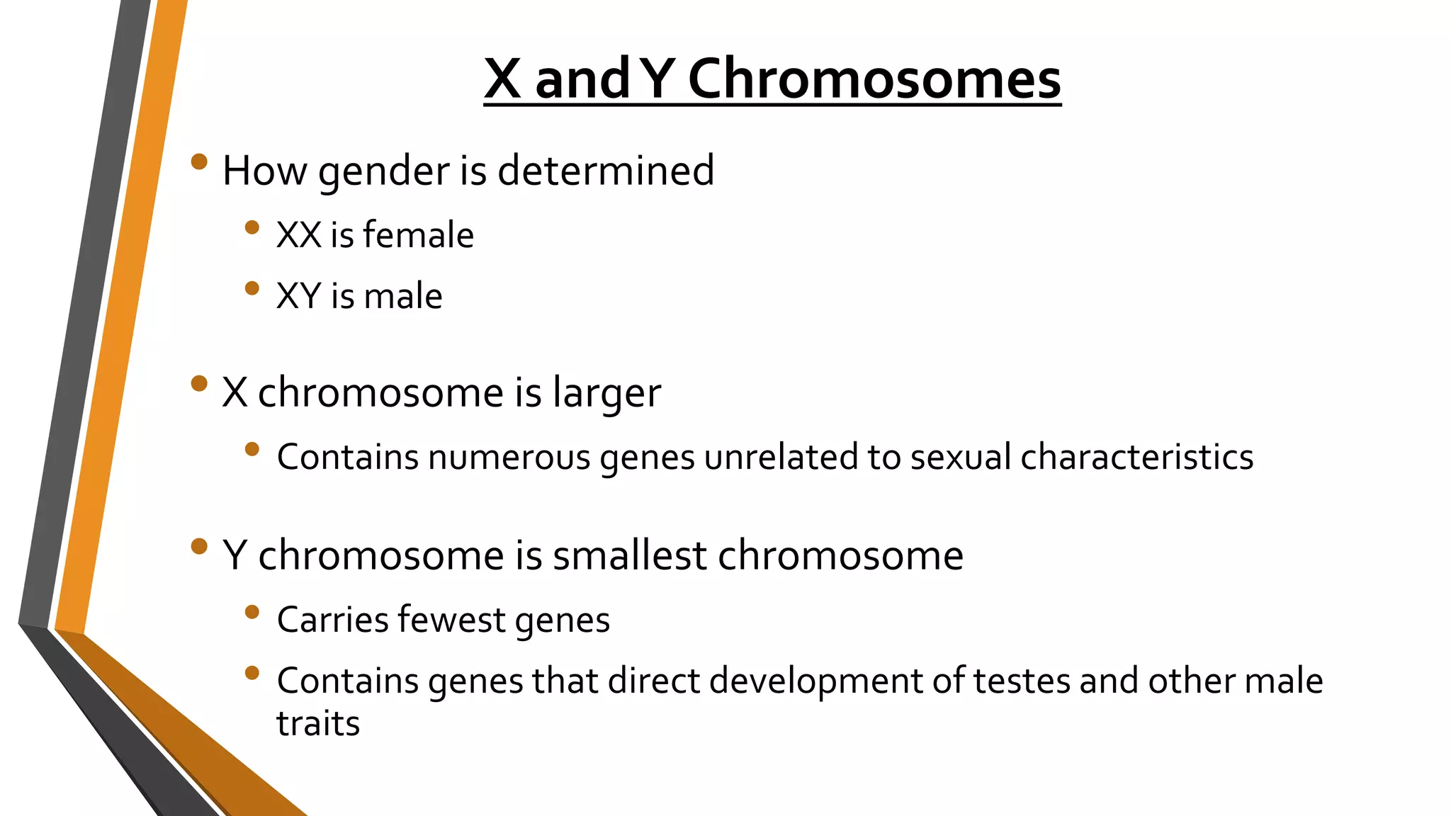 Genetics Notes | PPTX