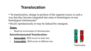 Genetics nsg unit i part 3 | PPTX