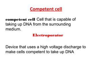 Genetics of bacteria | PPT