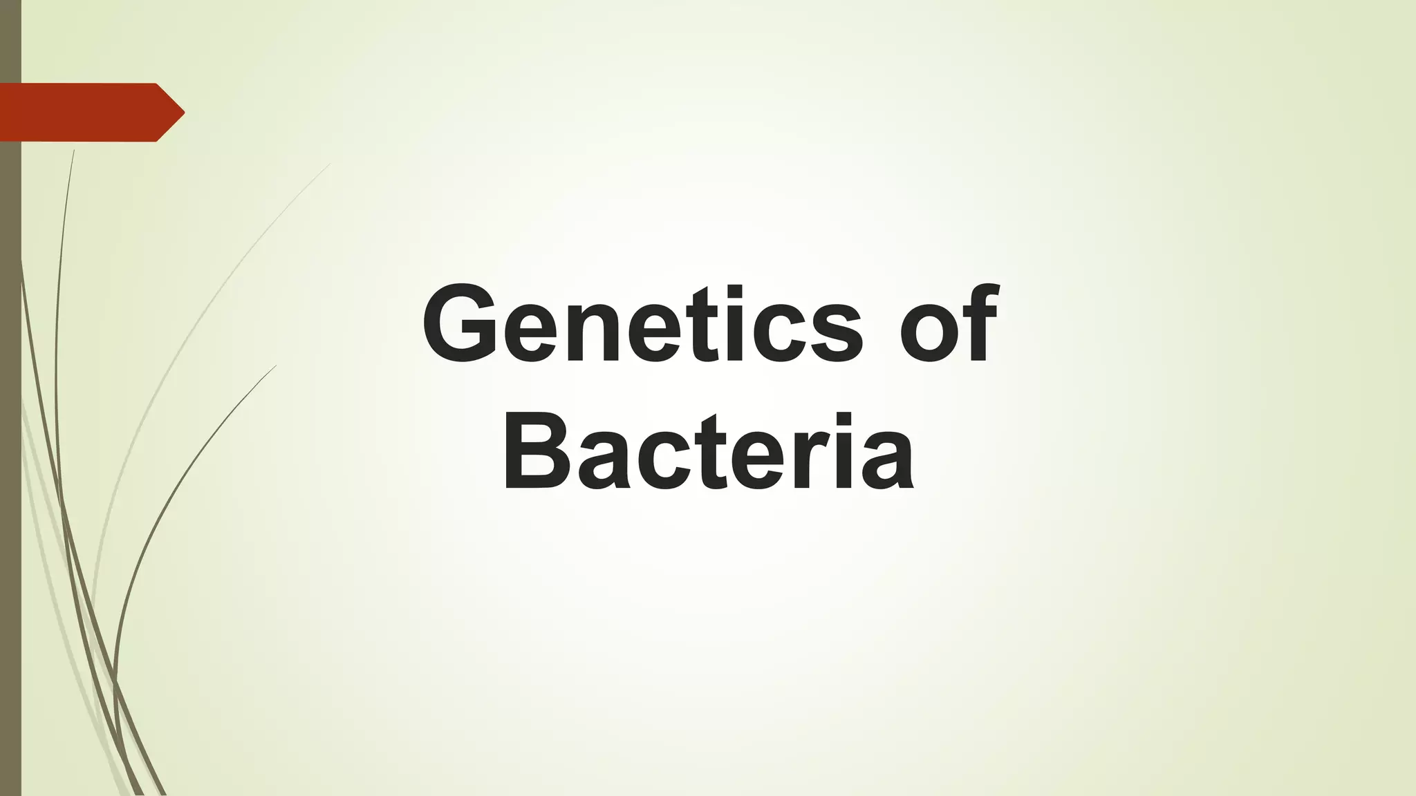 Genetics of bacteria PPT.pptx