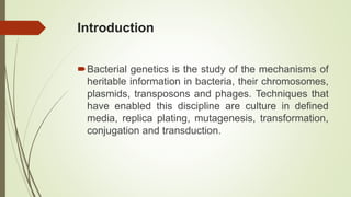 Genetics of bacteria PPT.pptx