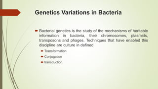 Genetics of bacteria PPT.pptx