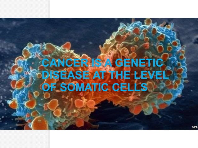 Genetics of cancer and cancer genetics_11 | PPTX