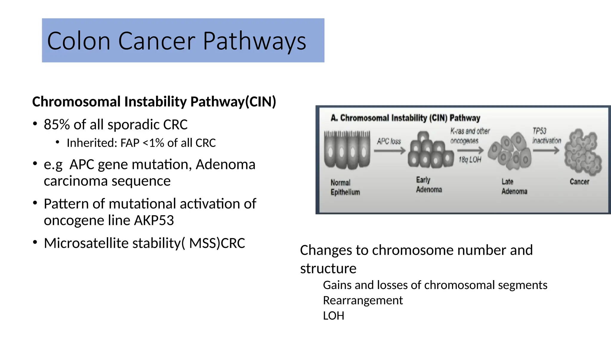 Genetics of Colorectal cancer and its clinical applicationpptx | PPTX