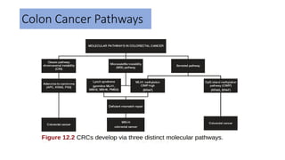 Genetics of Colorectal cancer and its clinical applicationpptx | PPTX