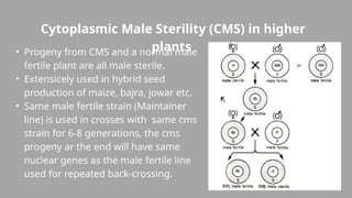 Genetics of extrachromosomal inheritance.pptx