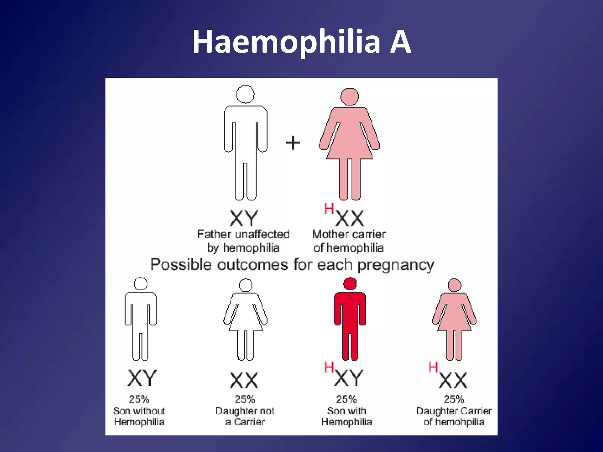 Genetics of hemophilia A | PPTX