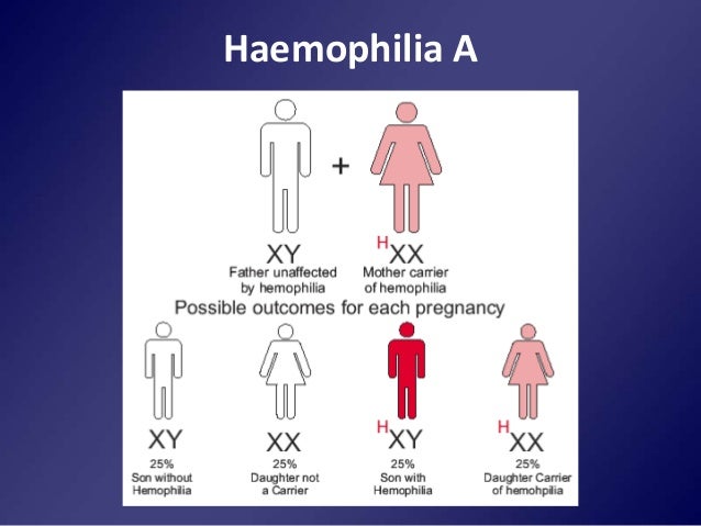 Genetics of hemophilia A