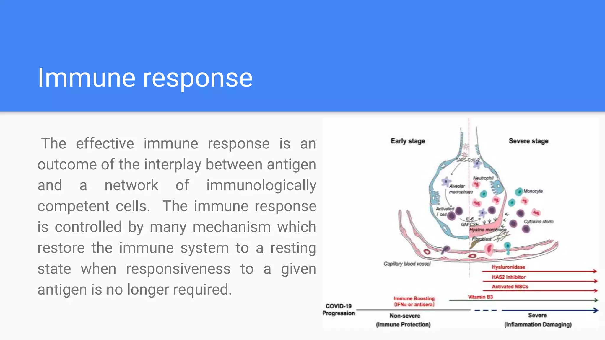 Genetics of immune system | PPTX