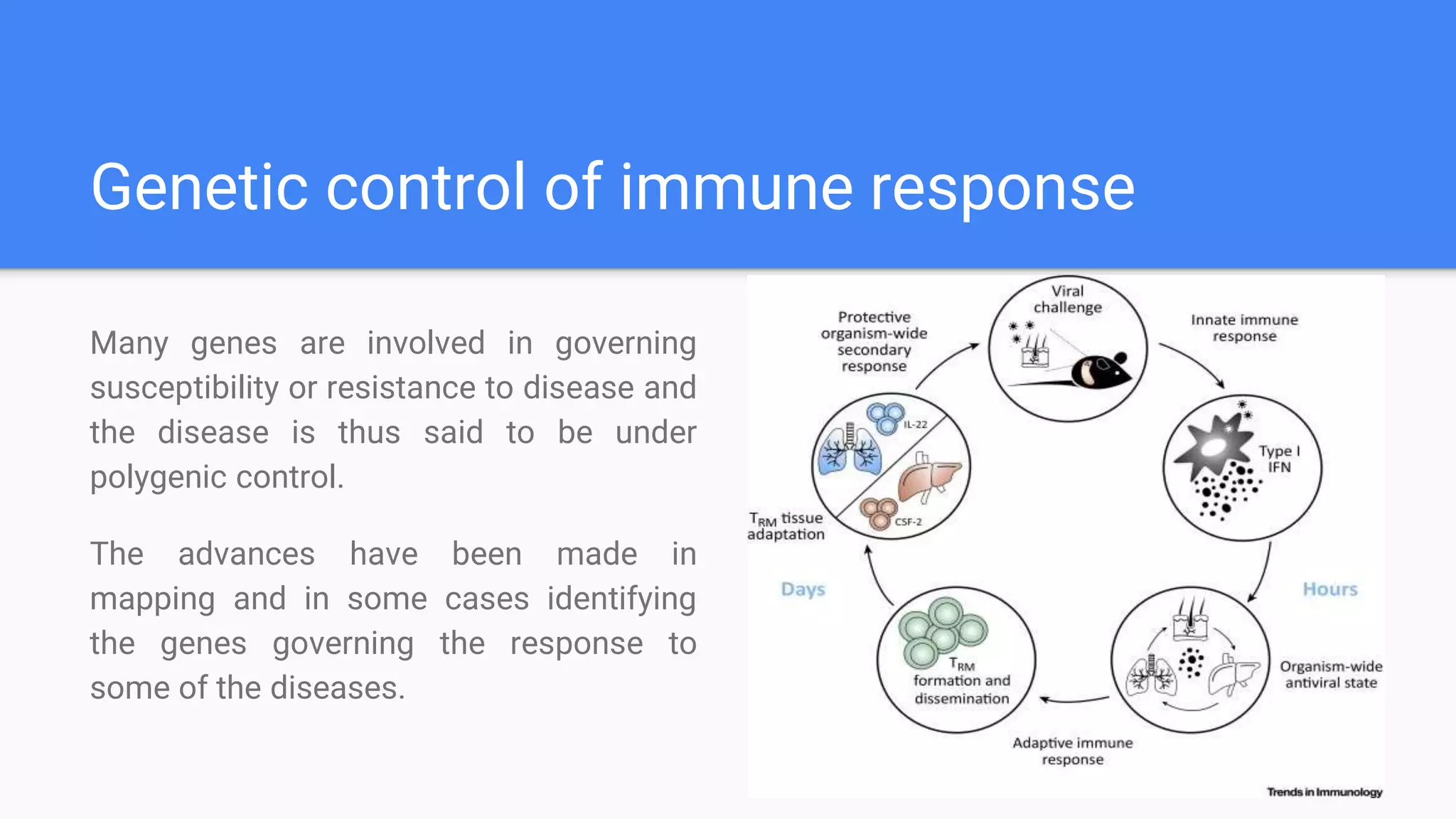 Genetics of immune system | PPTX