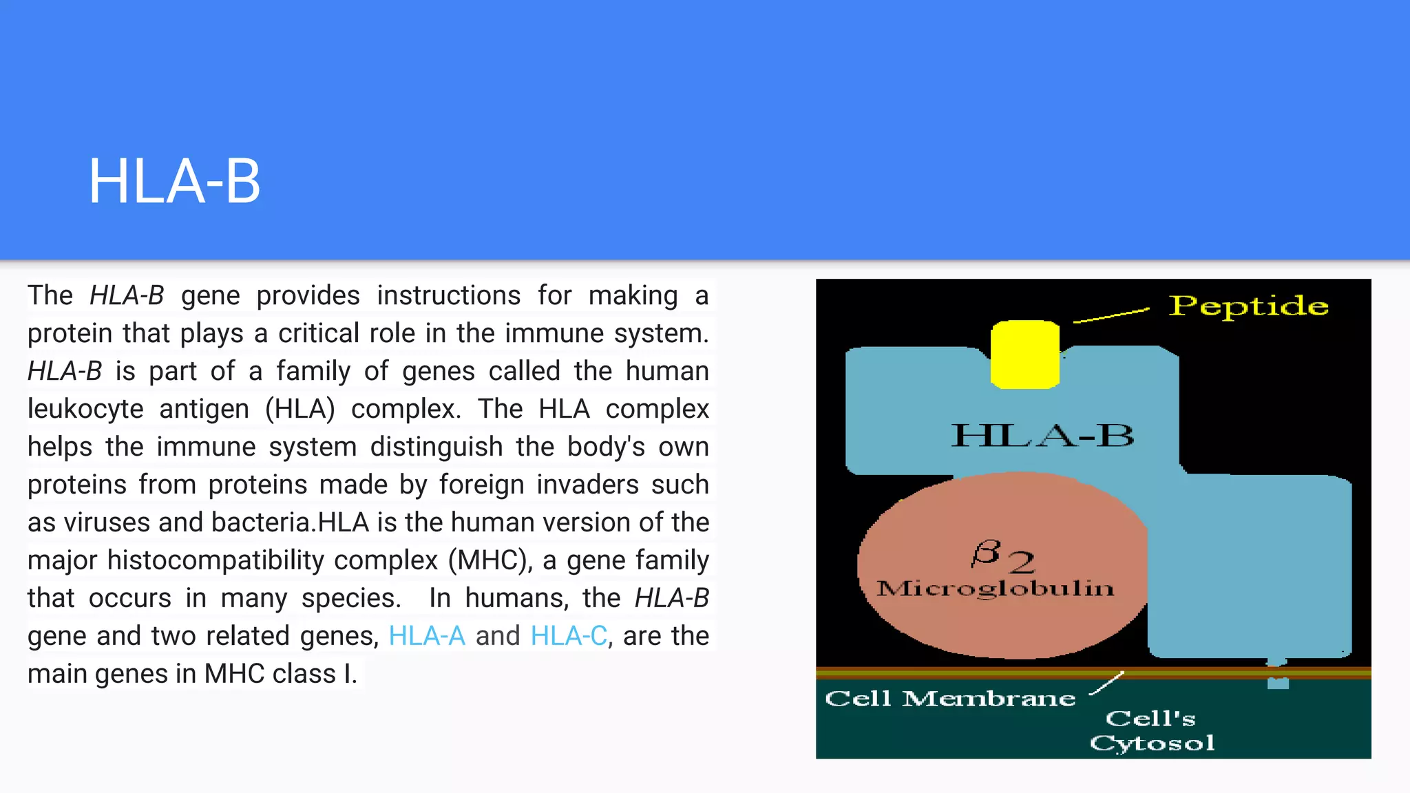 Genetics of immune system | PPTX