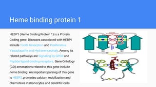Genetics of immune system | PPTX
