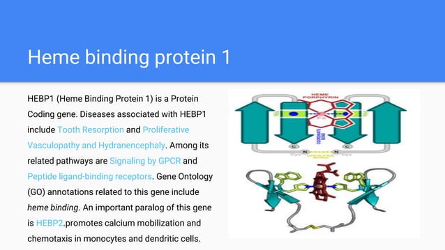 Genetics of immune system | PPTX