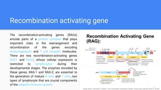 Genetics of immune system | PPTX