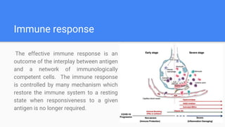 Genetics of immune system | PPTX
