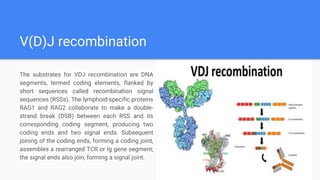 Genetics of immune system | PPTX