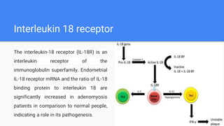 Genetics of immune system | PPTX
