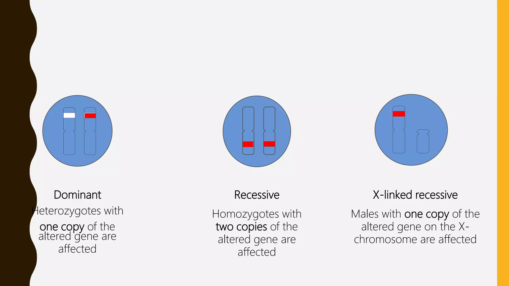 Genetics of inherited bleeding disorders | PPTX