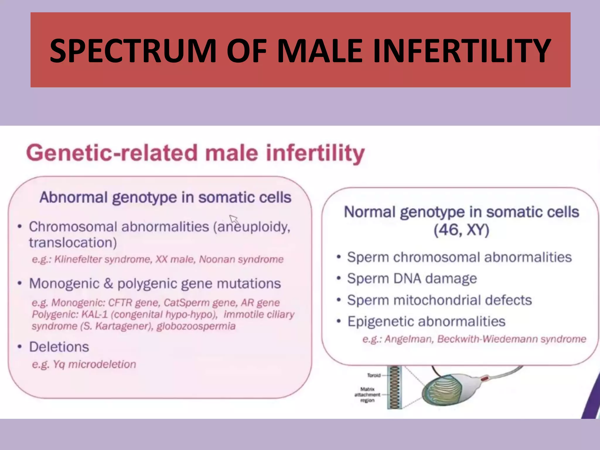 'GENETICS OF MALE & FEMALE INFERTILITY.pptx