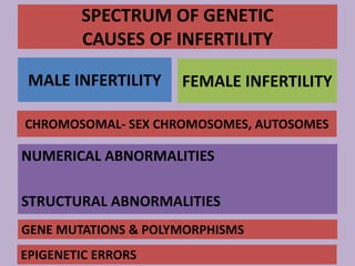 'GENETICS OF MALE & FEMALE INFERTILITY.pptx