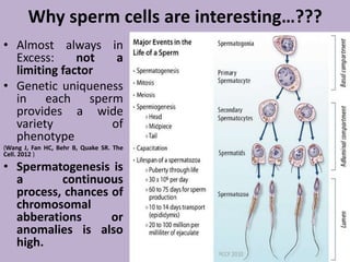 'GENETICS OF MALE & FEMALE INFERTILITY.pptx