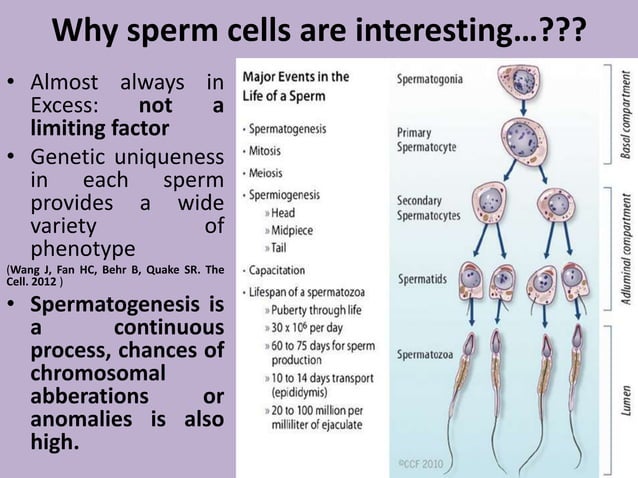 'GENETICS OF MALE & FEMALE INFERTILITY.pptx